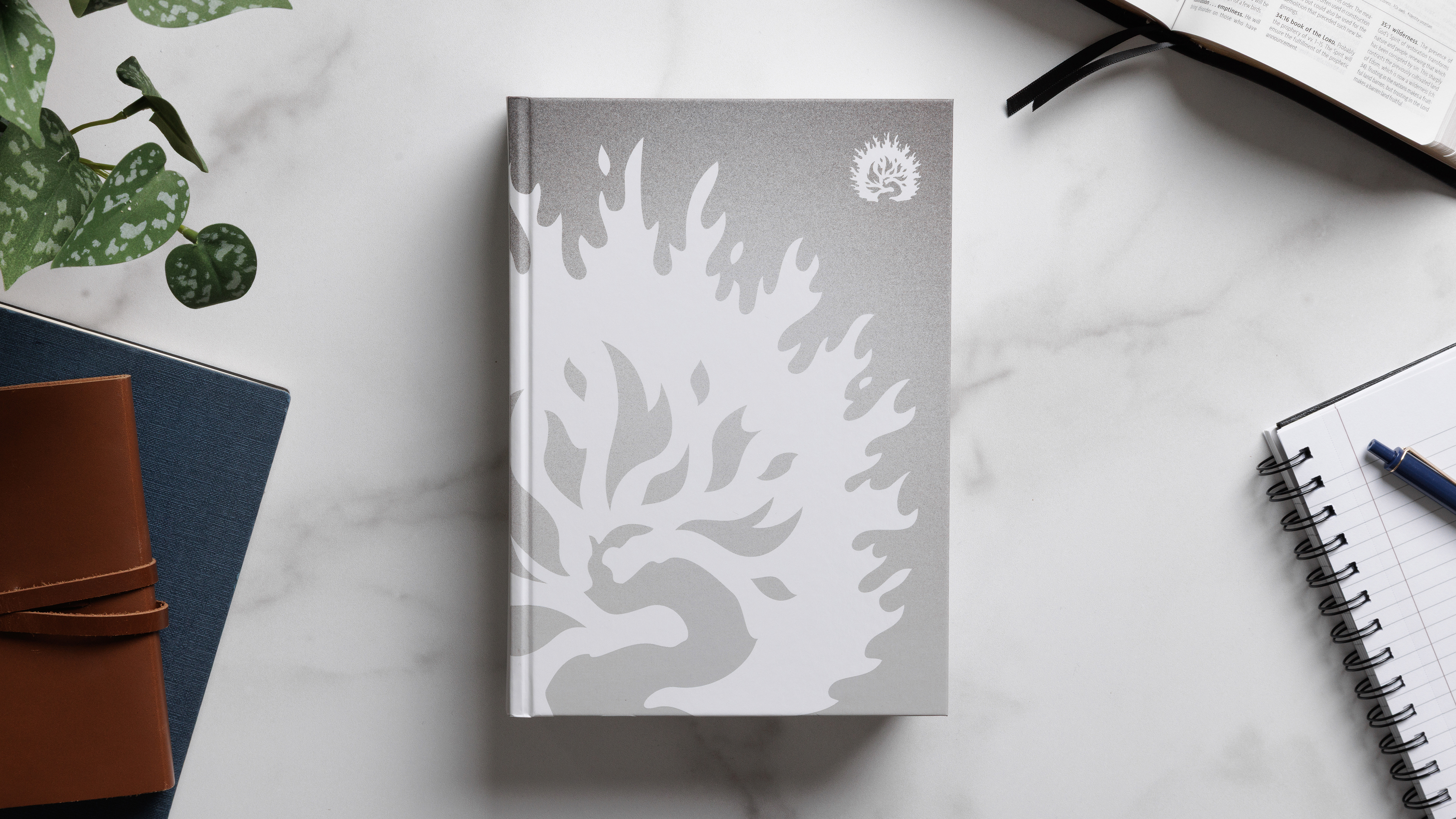 Get Your Study Bible and Support Outreach